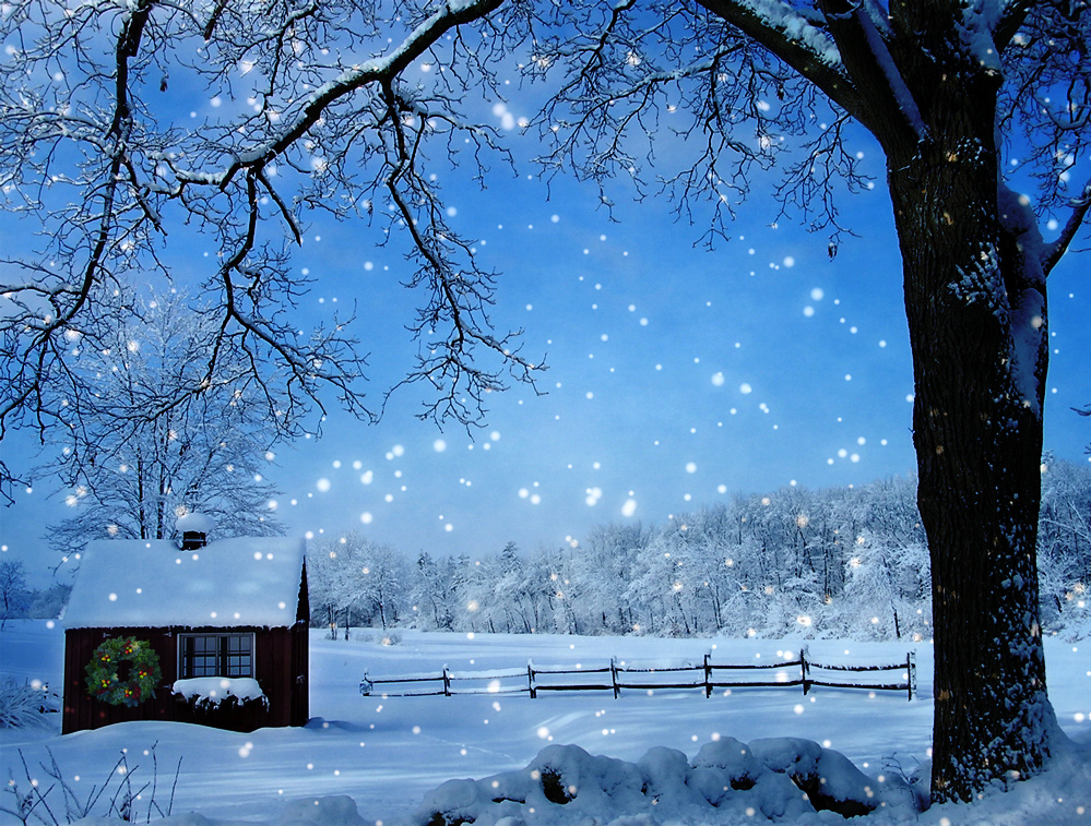 Silent Night – Bryan C. Taylor